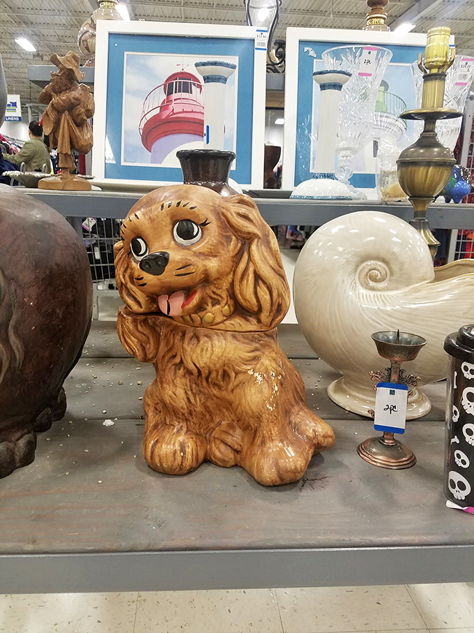 This ceramic cocker spaniel cookie jar has seen things. Now he's ready to guard your Oreos with the same wide-eyed enthusiasm.