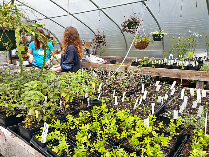 In the greenhouse, young plants wait in the wings before making their garden debut &ndash; it's like Broadway for botanicals.