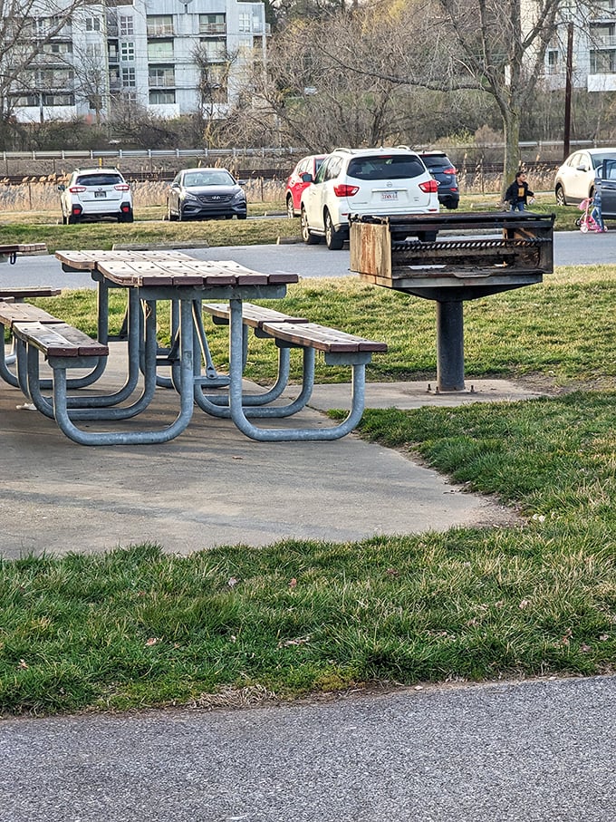 Picnic tables positioned for optimal relaxation. The grill stands ready, silently judging your hot dog flipping technique.