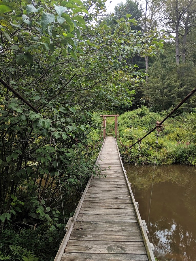 Walking this wooden bridge feels like stepping into a storybook. Just magical enough to make adults wonder if trolls might live underneath.