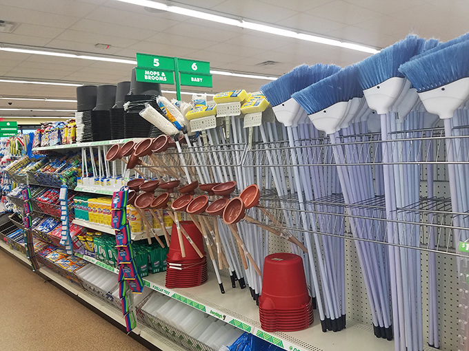 Household gadget gallery where practical meets affordable. These kitchen tools stand ready to transform your temporary vacation kitchen into a home-away-from-home.