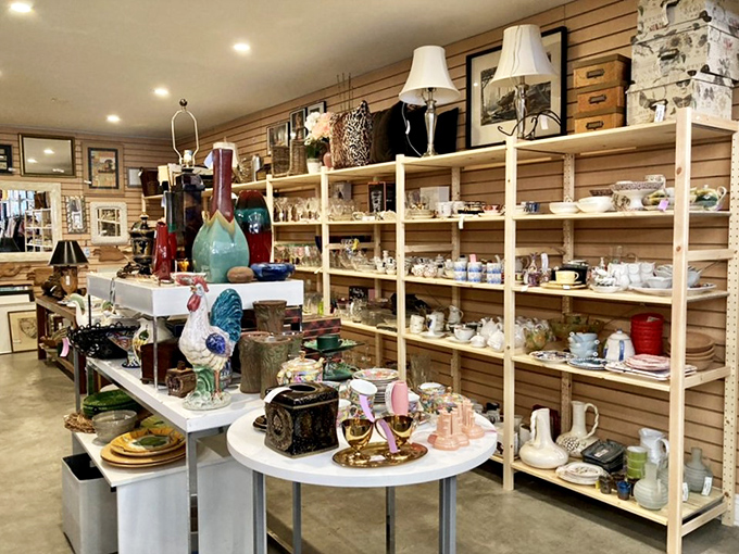 Home decor treasures stack like domestic archaeology finds, each piece ready to transform someone's living space.