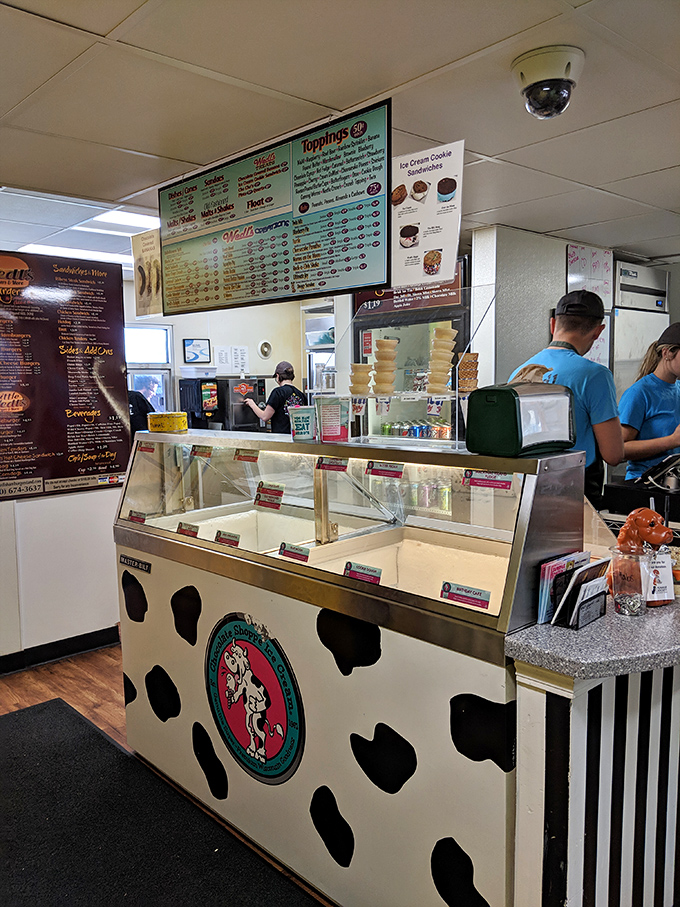 The ice cream counter is like a museum of joy, with each flavor and topping offering a different path to happiness.