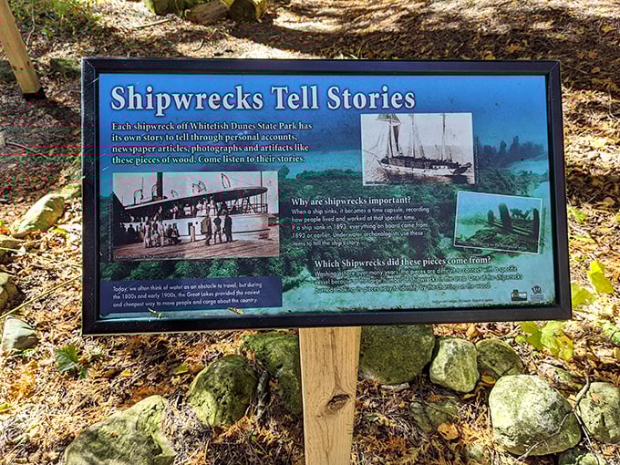 History surfaces along the shoreline through interpretive displays about Lake Michigan's shipwrecks. The Great Lakes' maritime past comes alive through stories of vessels claimed by these inland seas.