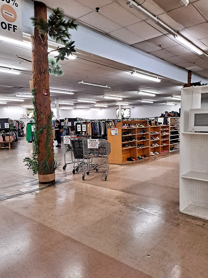 Wide aisles and organized departments make treasure hunting civilized&mdash;no need to elbow fellow bargain enthusiasts out of the way.