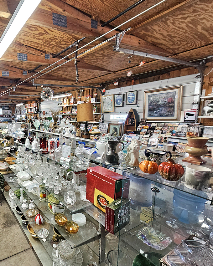 Crystal and collectibles catching the light like an indoor galaxy. Each shelf offers new constellations of glassware waiting to be discovered.