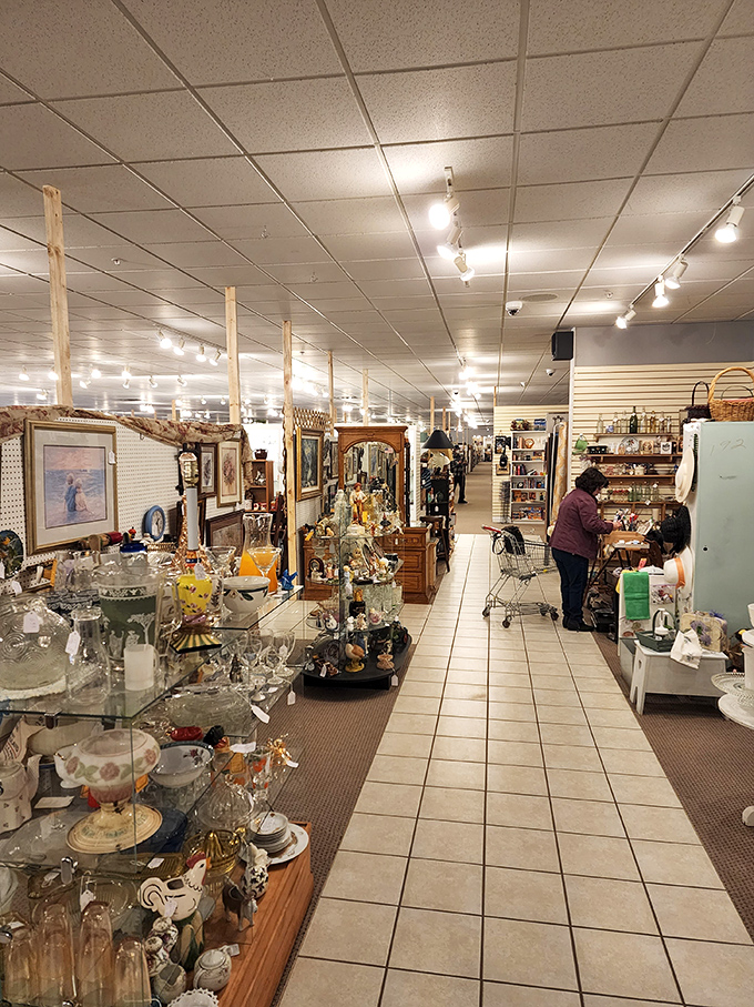 A corridor of curated chaos where one person's past becomes another's future. The thrill of discovery lurks around every corner.