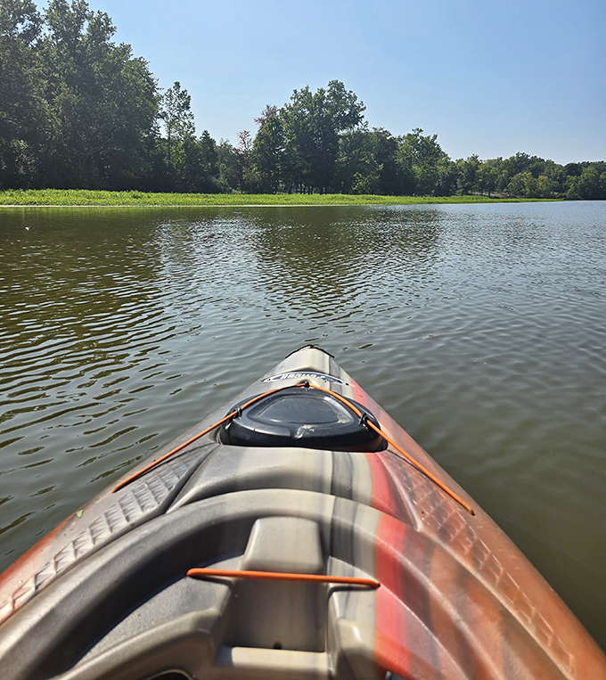 The captain's view is always best. Exploring Stonelick by kayak reveals perspectives and peaceful corners that landlubbers can only dream about.
