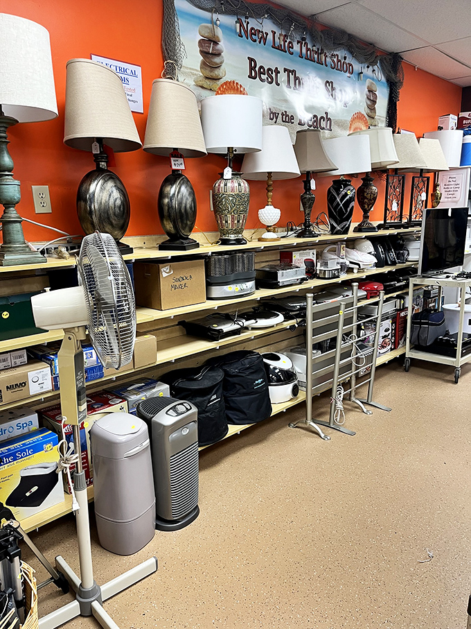 Lamp lovers, illuminate your life! This collection of table lamps could brighten corners of your home without darkening your wallet.