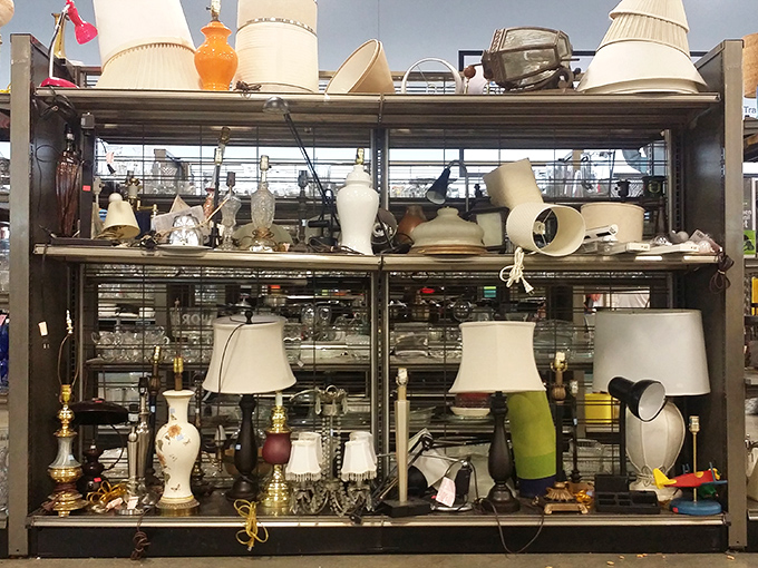 Lamp lovers, rejoice! This illuminating collection ranges from grandma-chic to mid-century modern, all waiting to light up someone's life for pocket change.