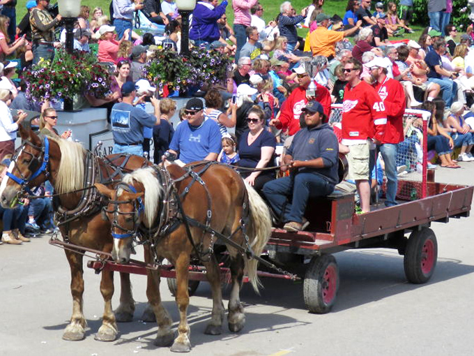 During the Lilac Festival, even the horses get into the spirit, pulling wagons of visitors through streets perfumed with century-old blooms.