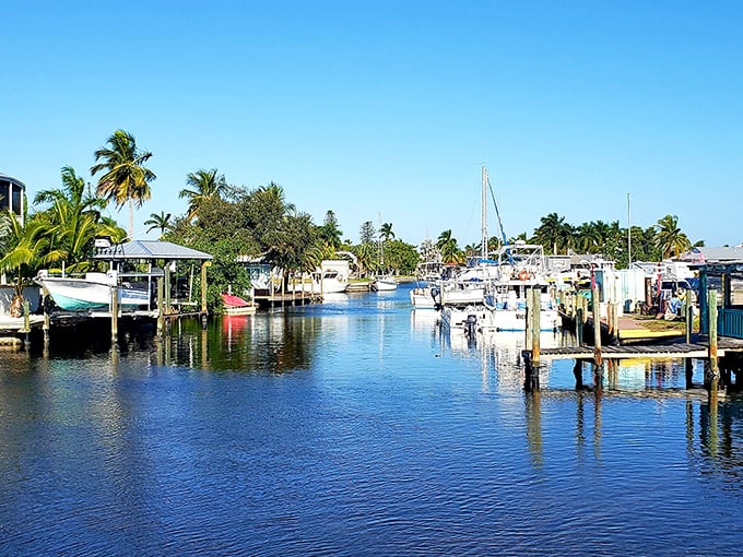 The marina showcases Matlacha's working waterfront heritage. These docks have witnessed more fish tales than a bestselling novelist.