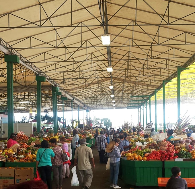 The produce section buzzes with activity, proving that amid the chaos of collectibles, fresh fruits and veggies still reign supreme.