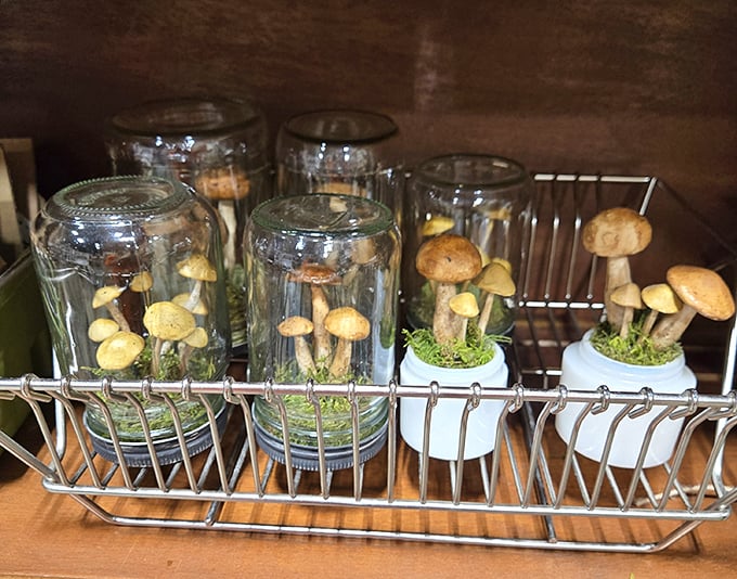 Whimsical mushroom displays in glass jars - because sometimes home decor should spark conversations and smiles.