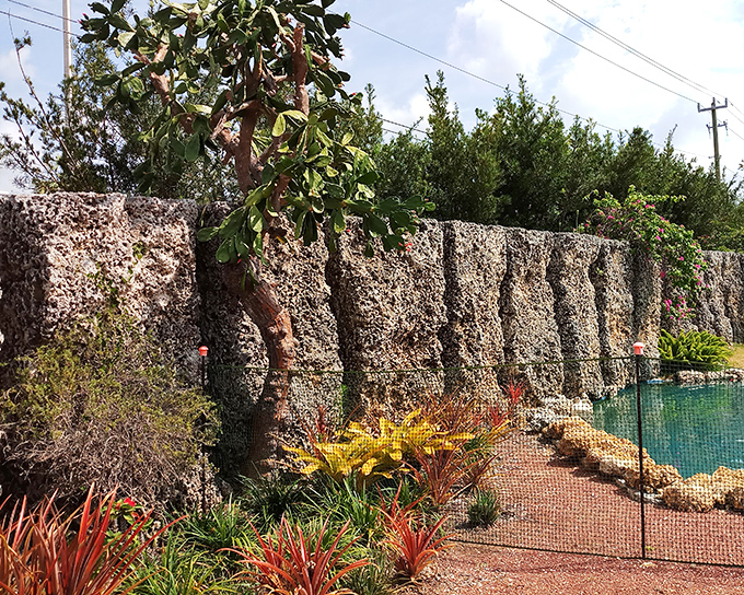 Tropical plants frame the imposing coral wall, creating a striking contrast between soft foliage and unyielding stone that somehow works perfectly.