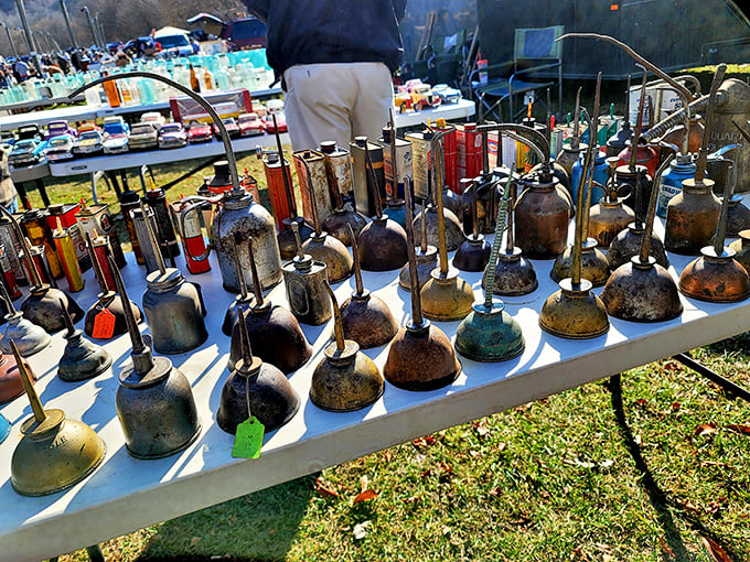 Vintage oil cans stand at attention like rusty soldiers. Once utilitarian garage staples, they're now coveted by collectors who appreciate industrial aesthetics.