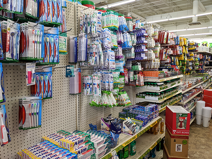 Dental care democracy&mdash;where everyone deserves a bright smile regardless of budget. More toothbrushes than there are teeth in West Virginia!