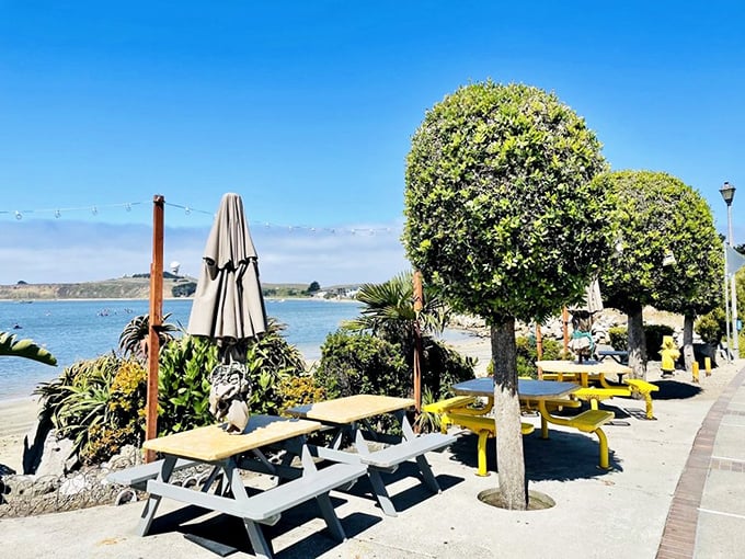 Ocean-view dining without the white tablecloth pretense. Those yellow picnic tables have hosted more happy memories than most five-star restaurants.