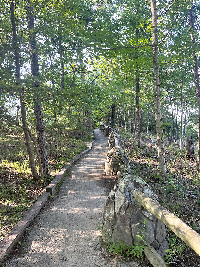 A path that promises adventure without requiring survival skills. The stone wall looks like it was built by woodland elves with exceptional masonry talents.