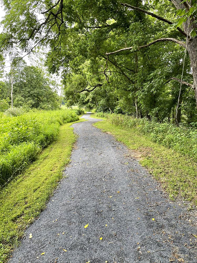 Paved pathways that prove accessibility and natural beauty make the perfect partnership for everyone's enjoyment.