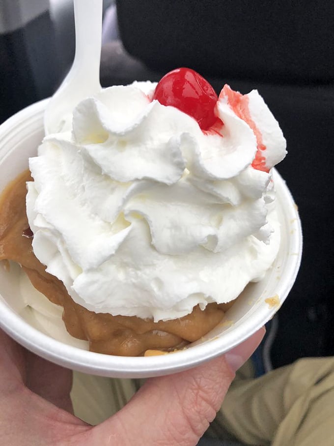 A mountain of whipped cream atop what appears to be peanut butter perfection—summer memories in edible form, complete with ceremonial cherry.