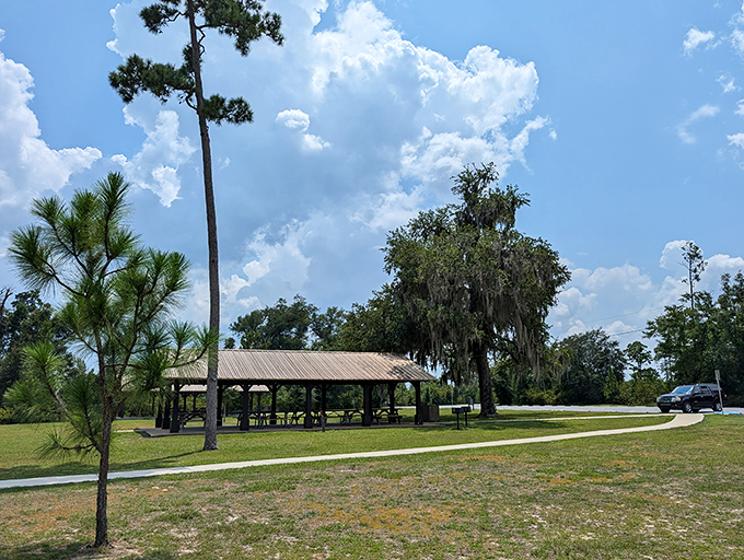 Picnic pavilions that have witnessed countless family reunions and first dates. The CCC built them to last, unlike my New Year's resolutions.