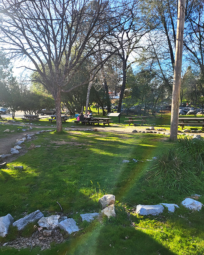 Shaded picnic grounds offer respite from gold fever, where families create memories against a backdrop unchanged by centuries.