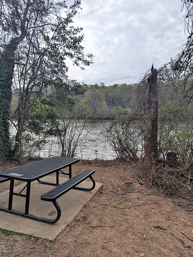 Riverside dining with a view that outshines any five-star restaurant. This picnic spot serves up serenity as the main course.