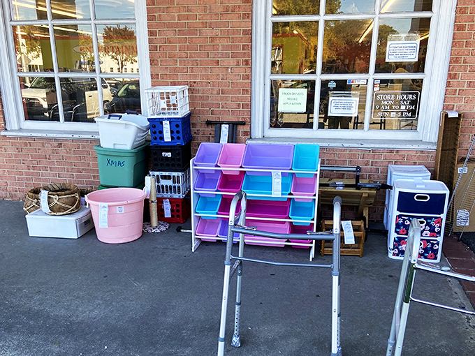 The home decor aisle: where someone else's "what was I thinking?" becomes your "this is exactly what I needed!" Colorful containers for every organizational fantasy.