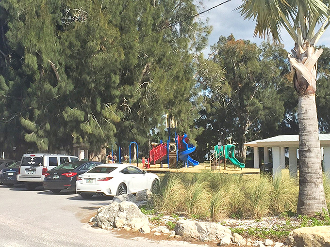 Where kids burn energy while parents recharge. The playground sits just far enough from the shoreline to give parents that perfect sand-free moment of peace.