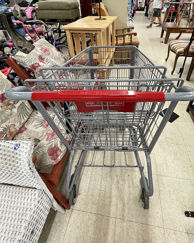 The humble shopping cart: your chariot through the kingdom of thrift. Those floral cushions behind it are practically begging to come home.
