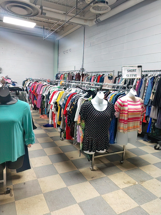 The clothing racks form a colorful canyon of possibilities where patient shoppers mine for designer labels hiding among everyday brands.