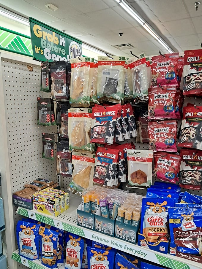 Dog treats arranged with care, proving that spoiling your four-legged friend doesn't require emptying your retirement account.