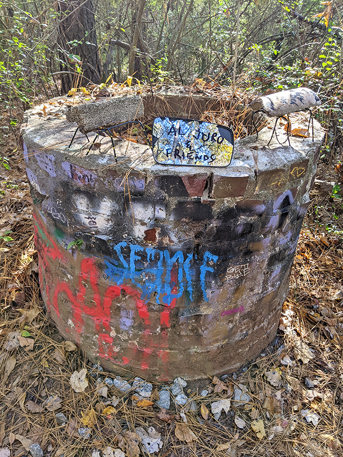 Messages and memories accumulate at this makeshift well, where visitors contribute to the ongoing conversation between art and nature.