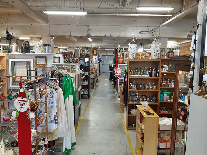Aisles that stretch into infinity, each one a rabbit hole of curiosities where you might enter looking for a lamp and exit with a taxidermy squirrel.
