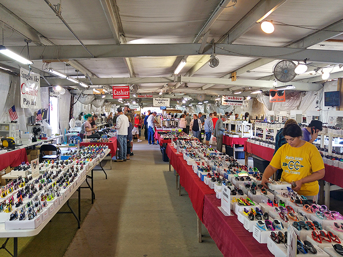 Sunglasses as far as the eye can see &ndash; which is pretty far when you're wearing the right pair! Florida essentials at prices that won't make you squint.