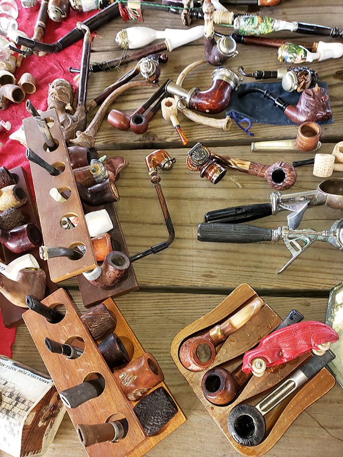 Pipe dreams arranged with collector's precision. These weathered smoking implements whisper tales of contemplative evenings from an analog era.