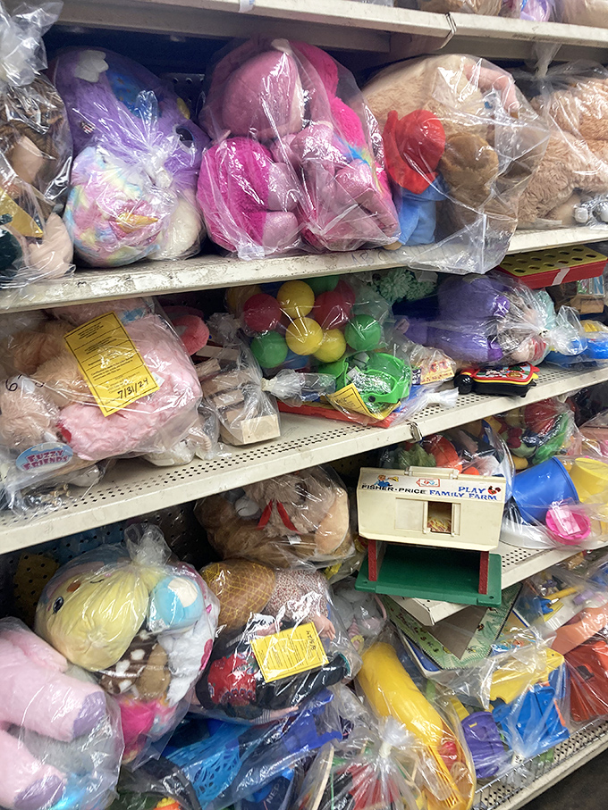 Stuffed animal adoption center &ndash; each plush friend hoping you'll take them home instead of letting them star in "Toy Story: Thrift Shop Edition."