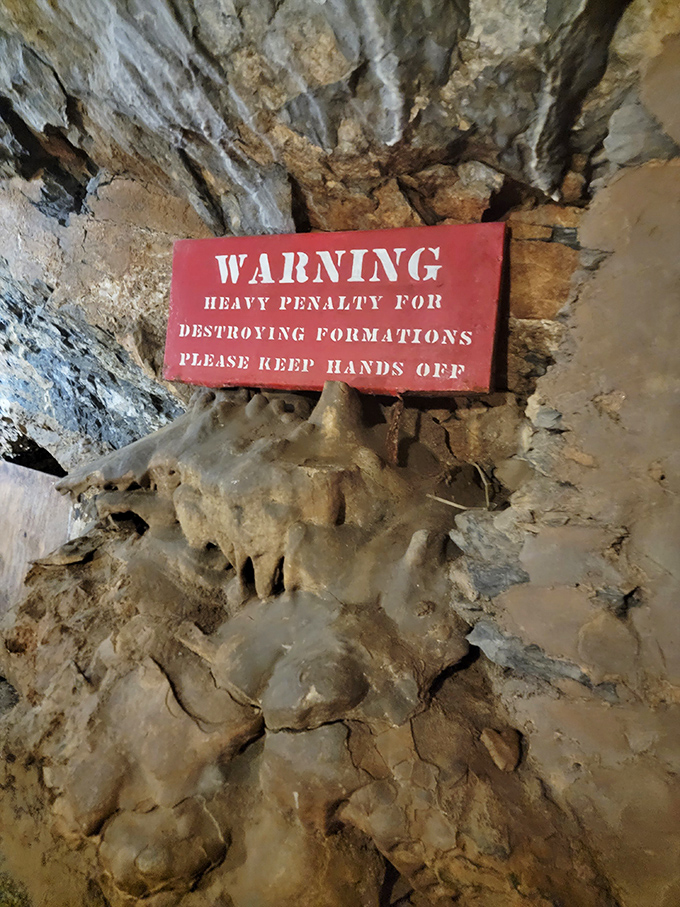 The warning sign serves as a sobering reminder that these masterpieces took longer to create than human civilization has existed.