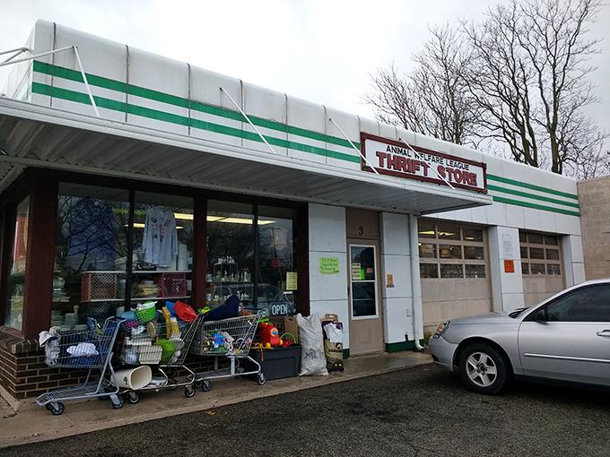 This former gas station has found new purpose as a thrift store, pumping out bargains instead of petroleum!