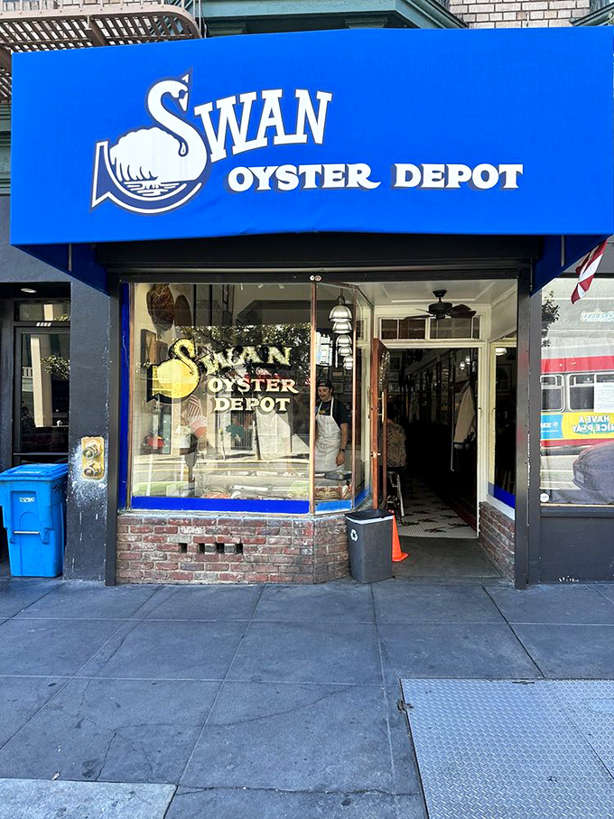 Salito's classic design reflects Sausalito's maritime heritage and commitment to exceptional Dungeness crab preparations.