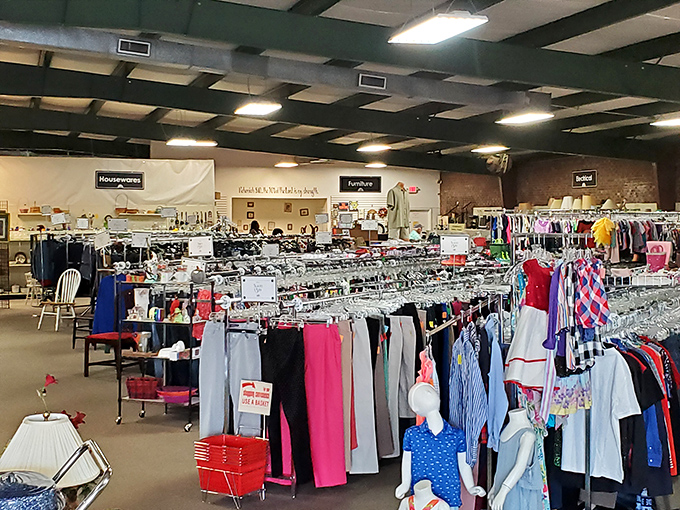 Goodwill's spacious interior reveals the true scale of this thrifting wonderland. Where patience rewards the persistent!