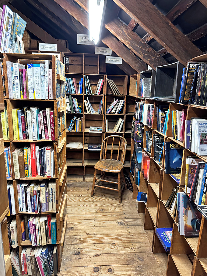 Science and geology await curious minds in this attic sanctuary. The sloped ceiling adds a touch of academic coziness.