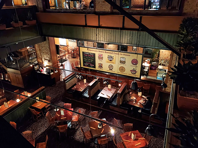 A bird's-eye view of happiness in progress. From up here, you can almost map the journey from kitchen to satisfied smile.