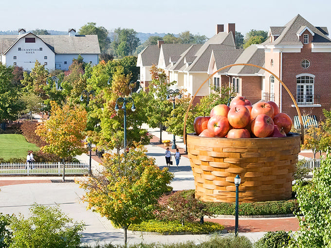 Bird's eye view of basket paradise! From above, you can appreciate how this woven giant commands the entire landscape.