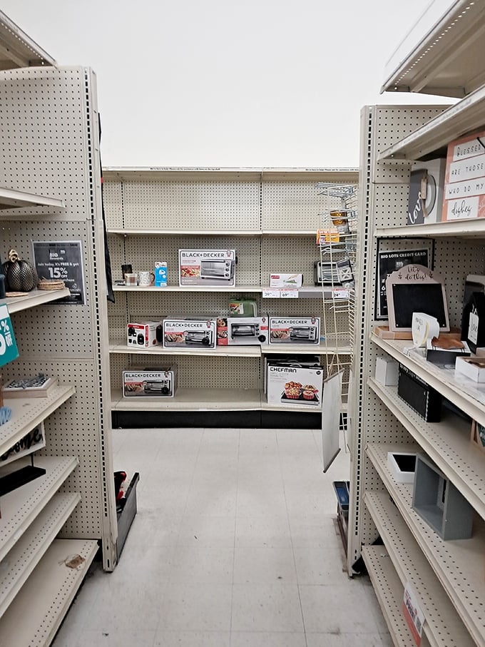 An aisle mysteriously half-empty, the retail equivalent of a treasure hunt where the prize is whatever hasn't been claimed.