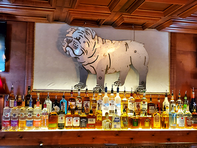 Behind the impressive lineup of spirits stands the Underdog mascot, watching over the proceedings like a patron saint of good times.