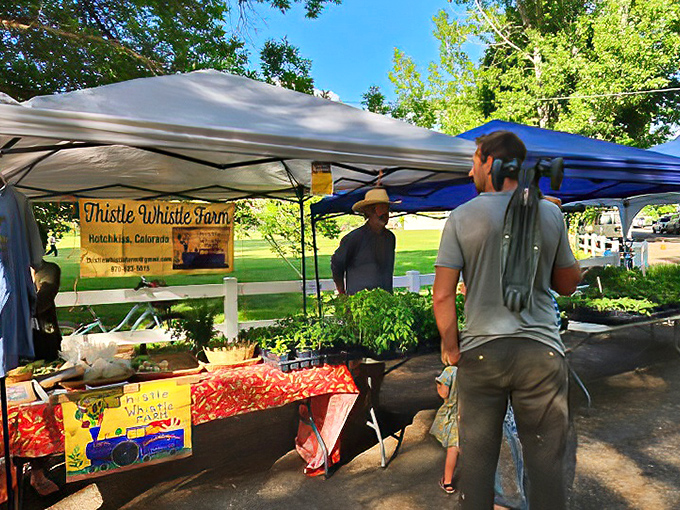 At Paonia's farmers markets, the distance between farm and table is measured in yards rather than miles, and conversations flow as freely as samples.