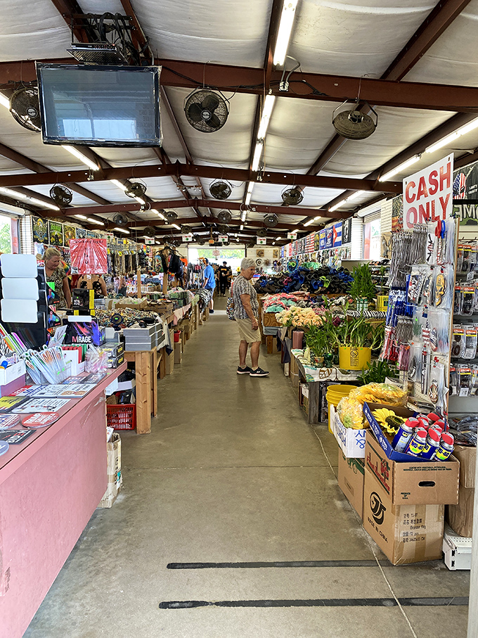 The "Cash Only" sign stands guard over a treasure trove of beach essentials. Sunburn prevention headquarters with a side of souvenir temptation.