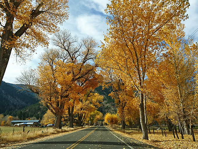 Fall in Genoa paints the perfect golden hour &ndash; where cottonwoods and aspens compete for who can wear autumn's colors best.